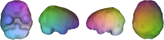 Brain Health Assessment by Dr. Daniel Amen | #1 Brain Type Quiz